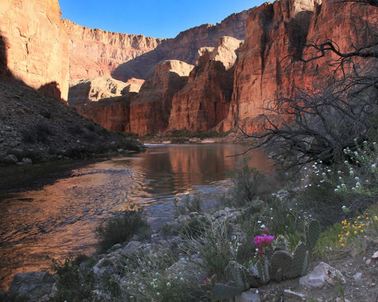 Grand Canyon Prints - Mike Buchheit Photography