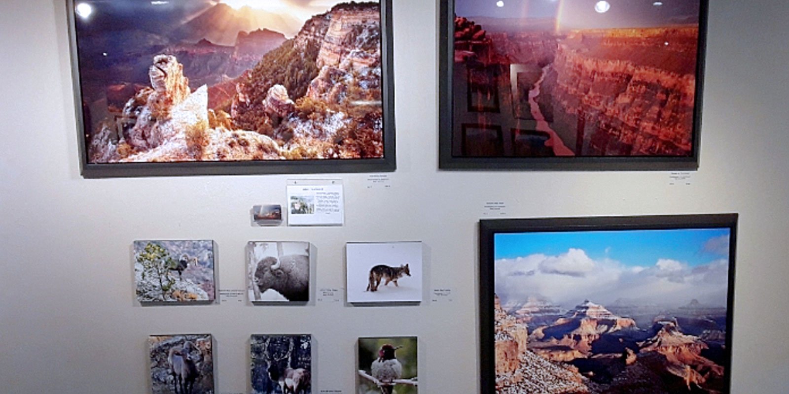 Grand Canyon Prints - Mike Buchheit Photography